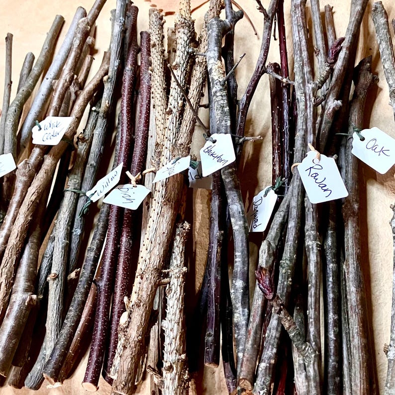 Wood Stick Bundles, Choose From 40+ NH Grown Species - Etsy