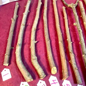 Wild Apple Wand Carving Wood - Etsy