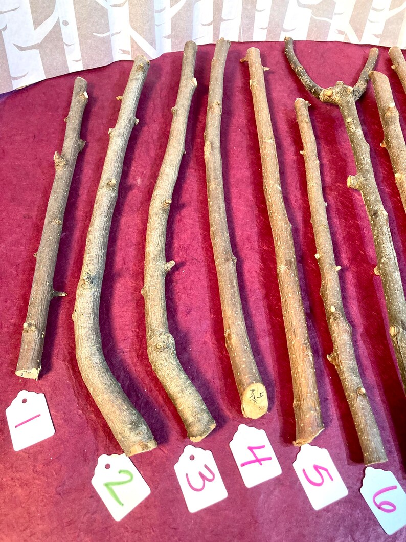 Wild Apple Wand Carving Wood - Etsy