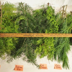 Fresh Mixed Evergreens, White Pine, Holly, Spruce Fir, and White Cedar ...