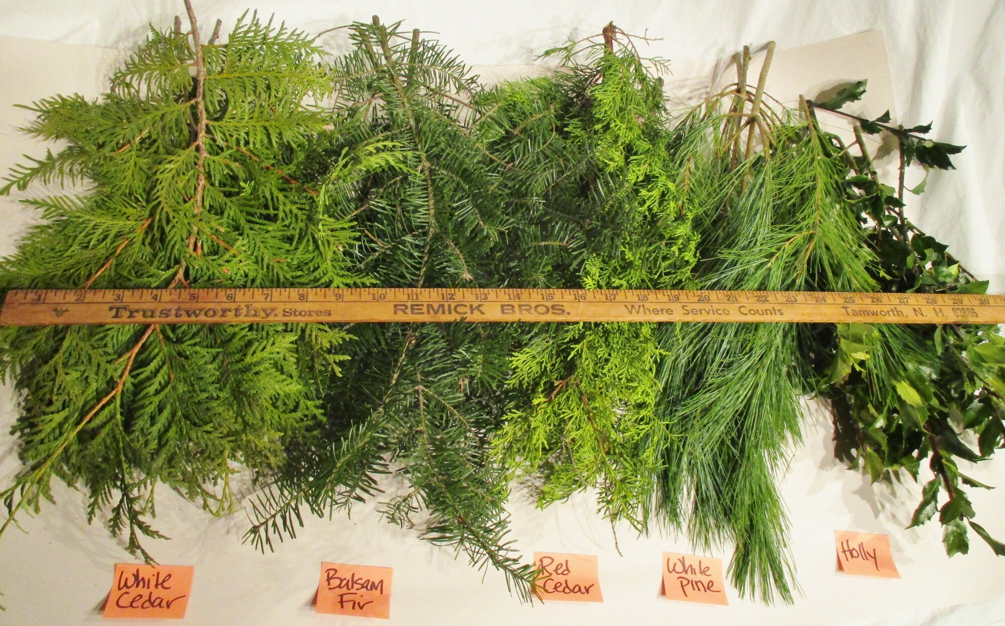 Fresh Mixed Evergreens White Pine Holly Balsam Fir and | Etsy