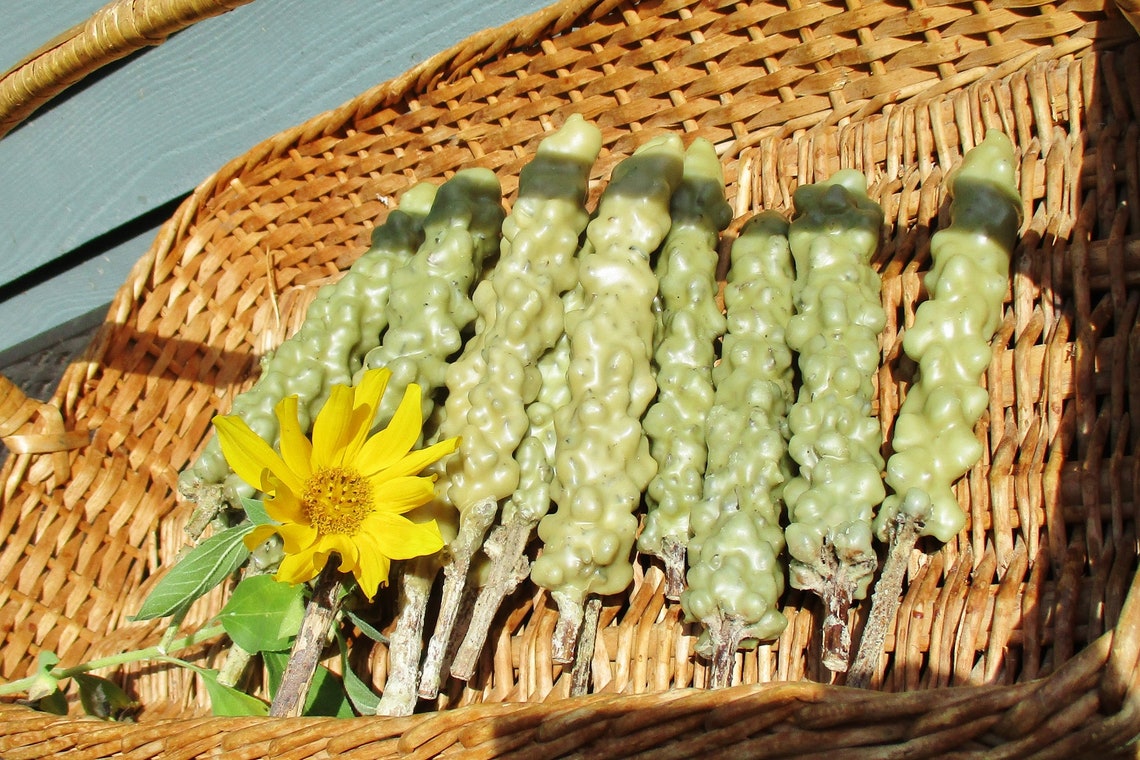 Mullein Witches Candle Bayberry Ceremonial Candle Hags - Etsy