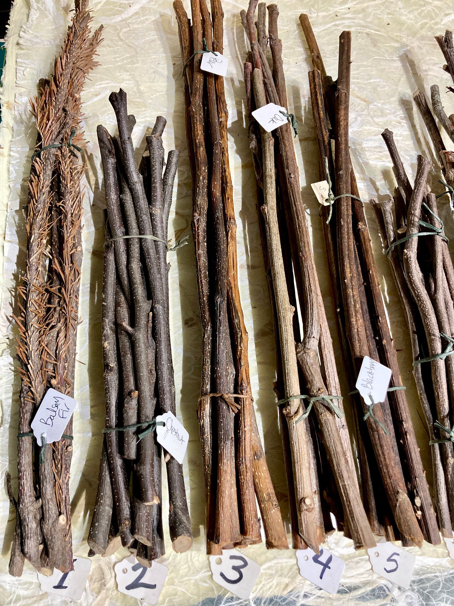 Long Stick Bundles; Blackberry, Birch, Balsam, Rowan, Pear, Oak ...