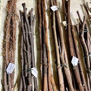 Long Stick Bundles; Blackberry, Birch, Balsam, Rowan, Pear, Oak ...