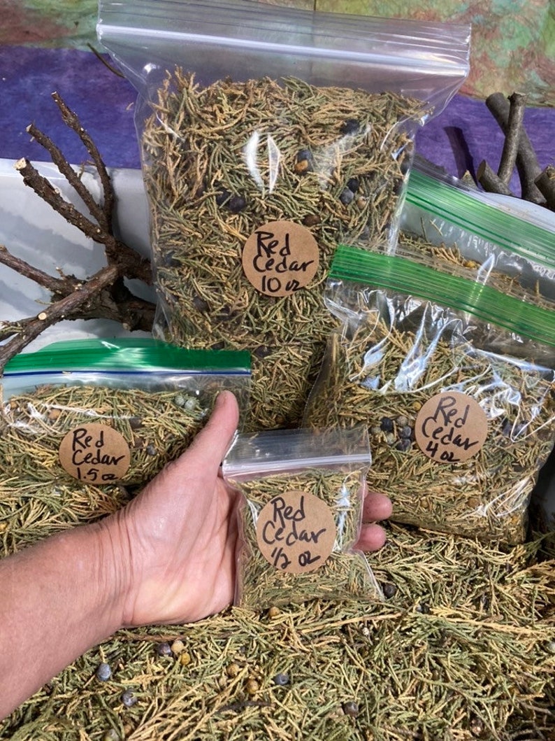 Dried Eastern Red Cedar Needles, Juniperus Virginiana - Etsy