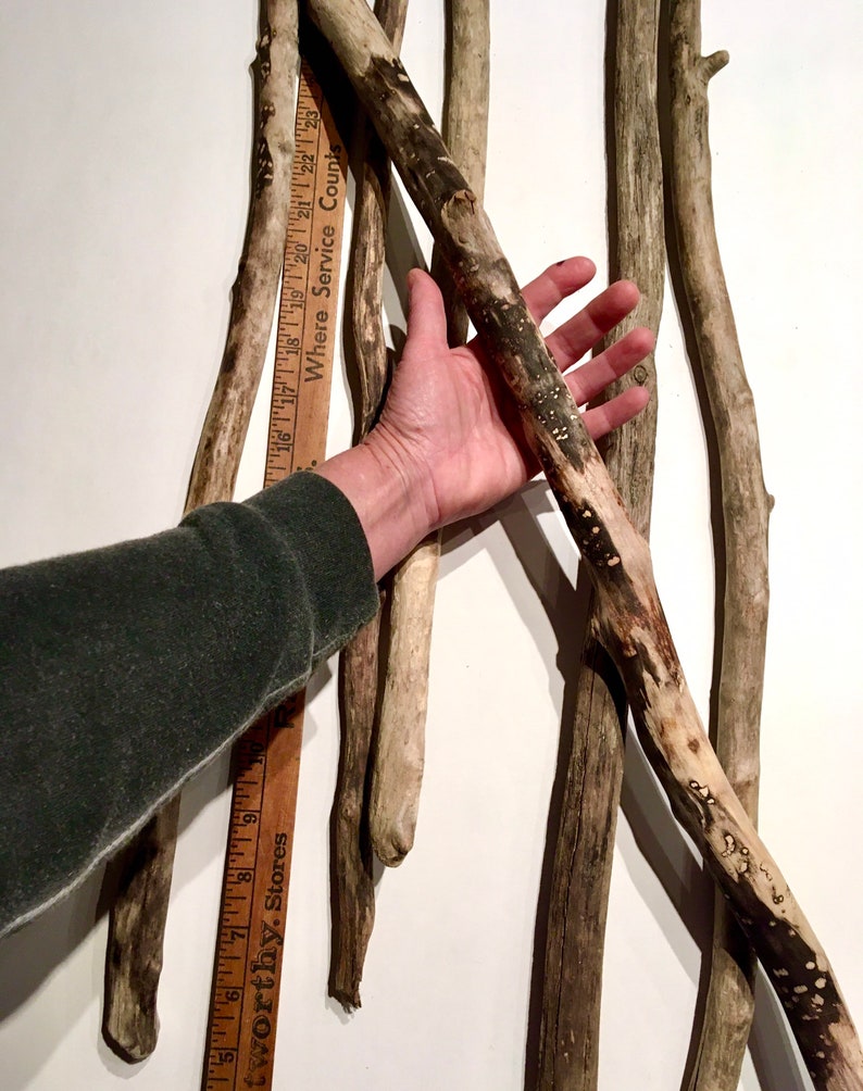 7 Weathered Sticks, Beaver Chewed Driftwood - Etsy