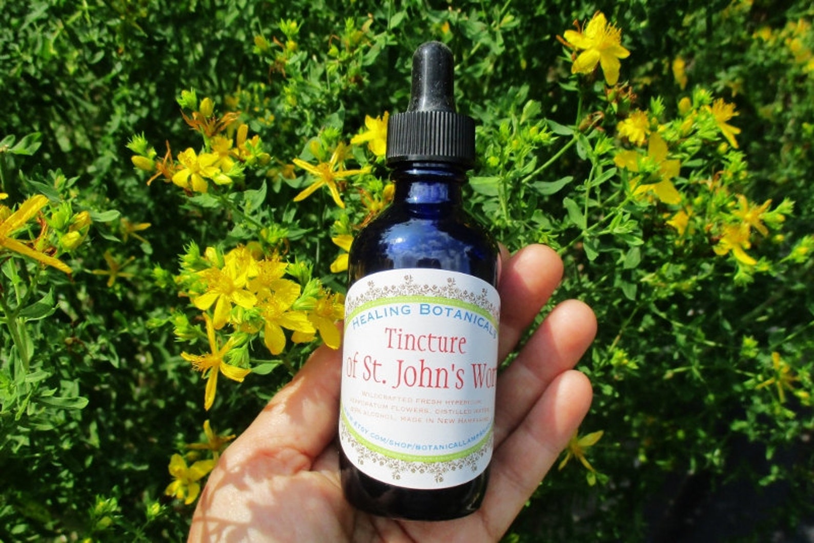 Tincture of St. John's Wort, Hypericum Perforatum Tincture - Etsy