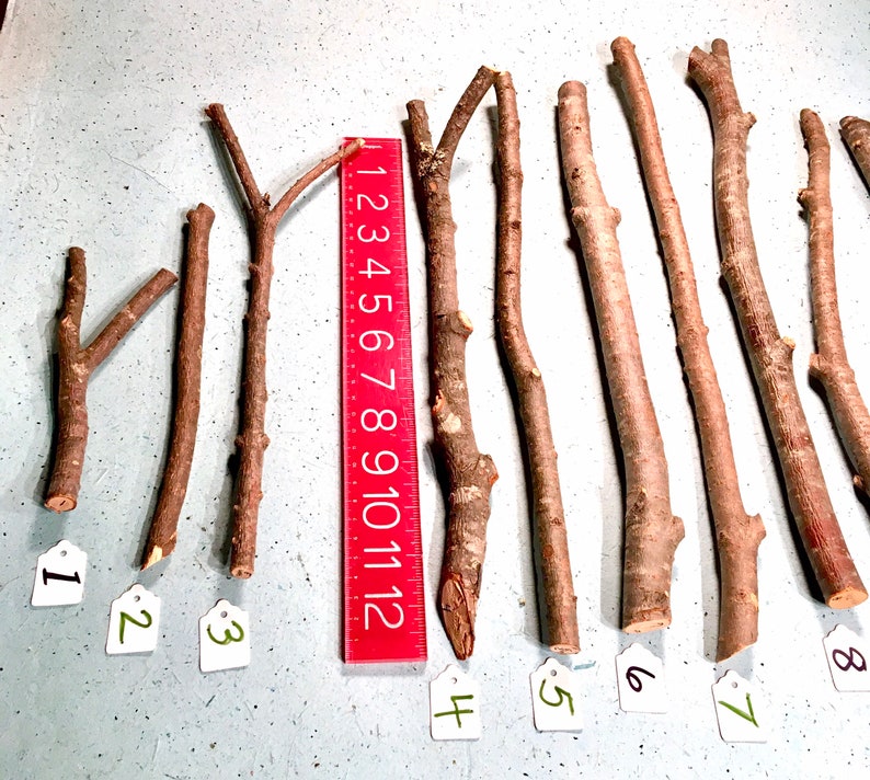 Hemlock Wood Eastern Hemlock Wand Carving Sticks Witch and | Etsy