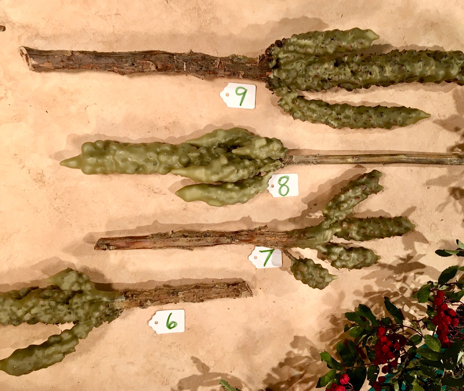 Large Witches Torches Mullein Bayberry Ceremonial Candle | Etsy