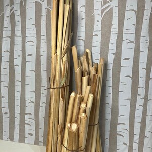 Dried Cattail Stems - Etsy