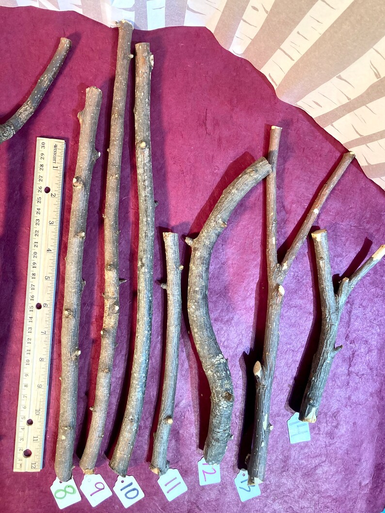 Wild Apple Wand Carving Wood - Etsy