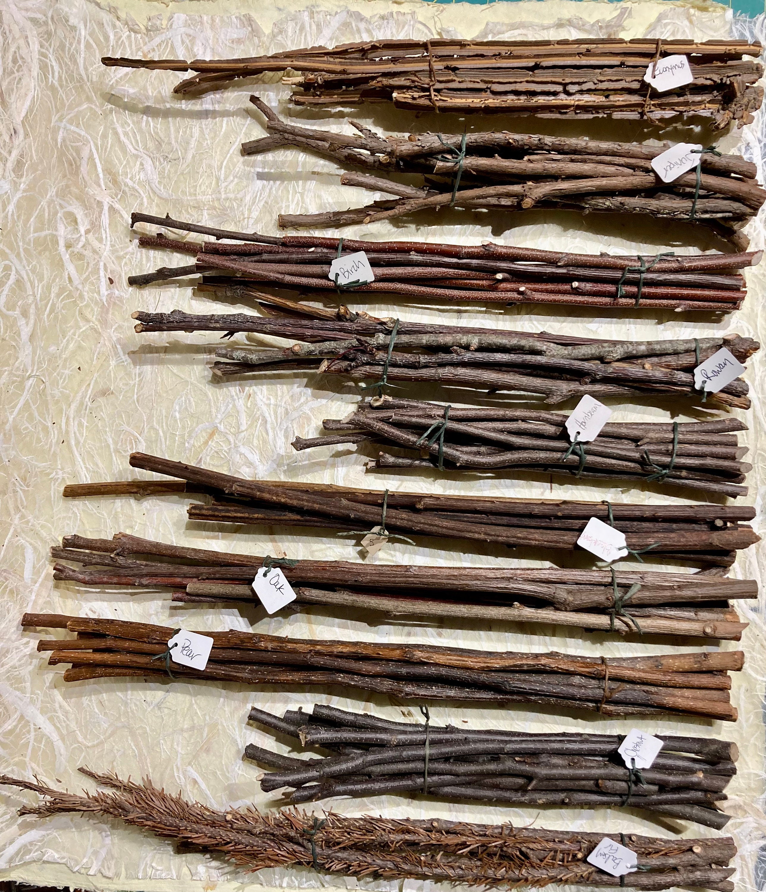 Long Stick Bundles; Blackberry, Birch, Balsam, Rowan, Pear, Oak ...