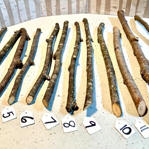 Rowan Wand Carving Wood - Etsy