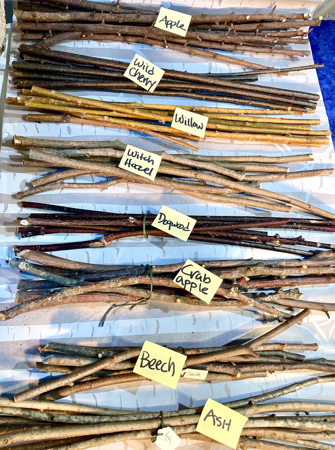 Hardwood Crafting Stick Bundle: Ash, Willow, Cherry, Beech, Witch Hazel ...