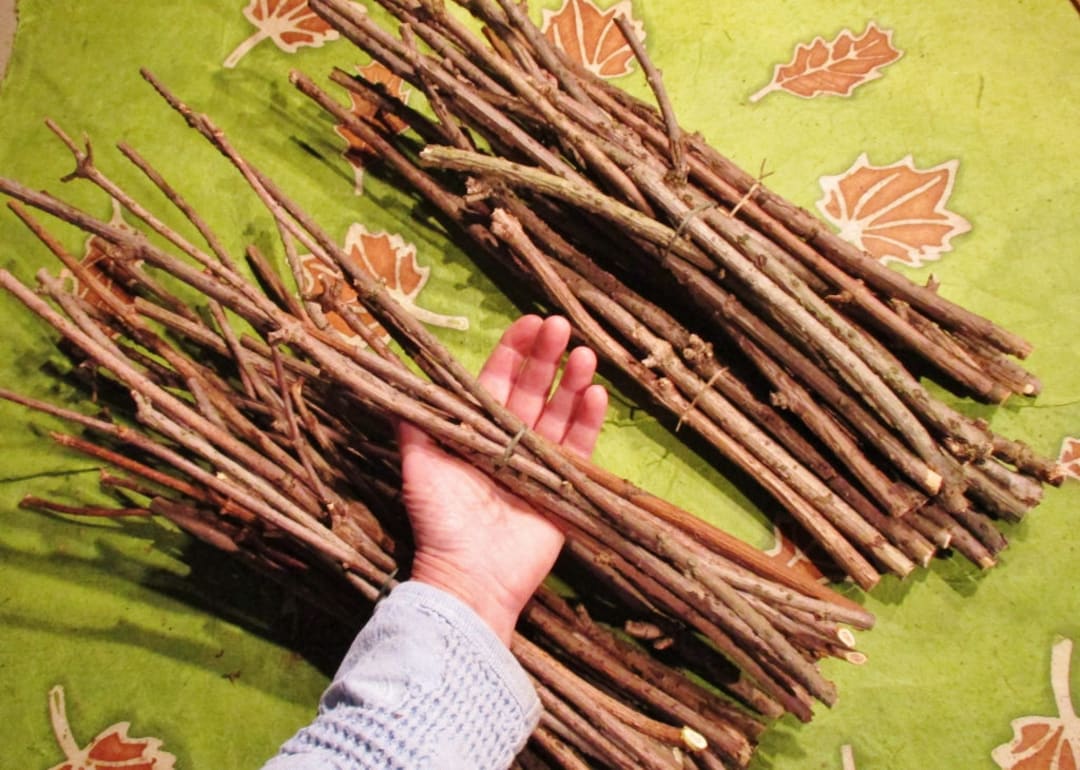 Elder Wood Stick Bundles - Etsy