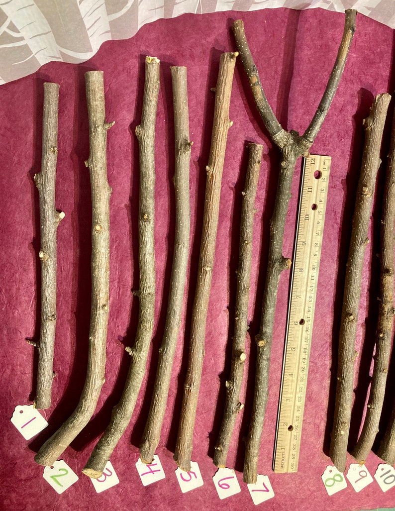 Wild Apple Wand Carving Wood - Etsy