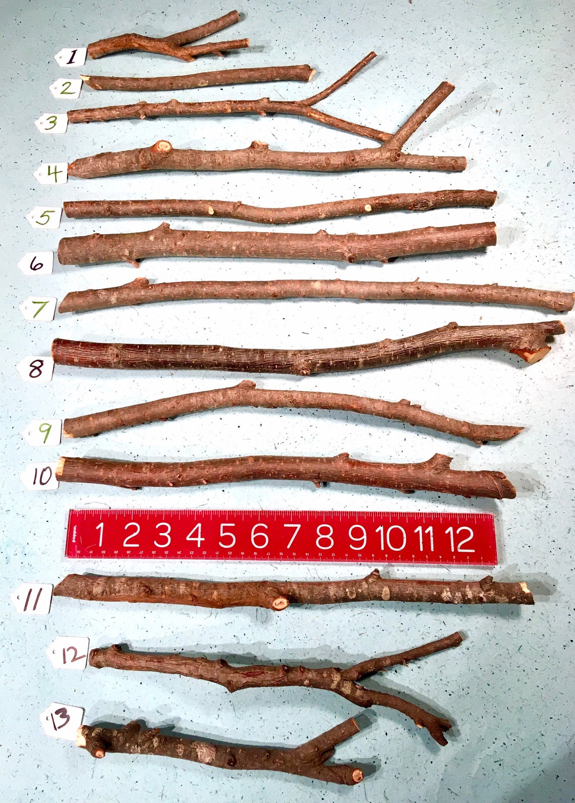 Hemlock Wood Eastern Hemlock Wand Carving Sticks Witch and | Etsy