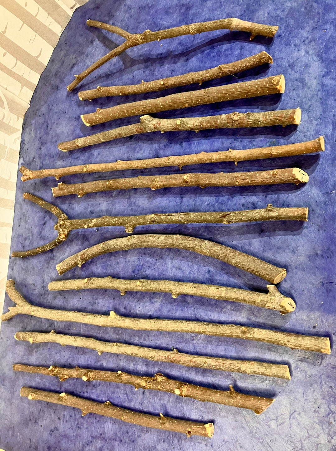 Wild Apple Wand Carving Wood - Etsy