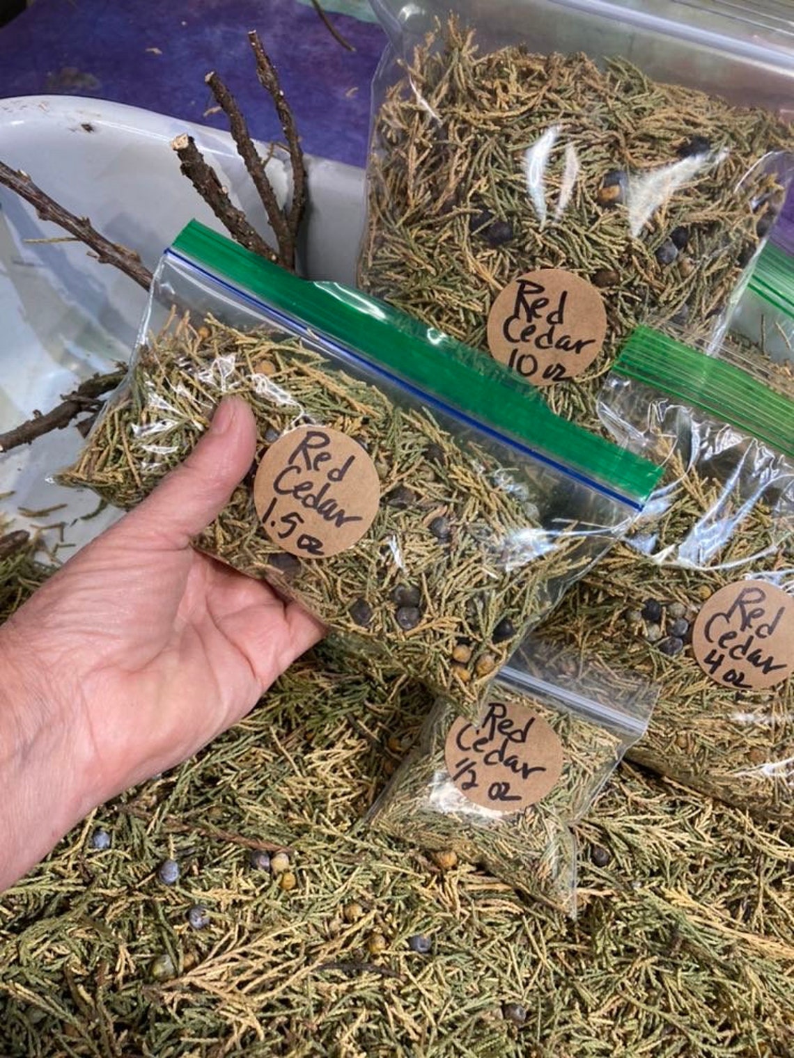 Dried Eastern Red Cedar Needles, Juniperus Virginiana - Etsy
