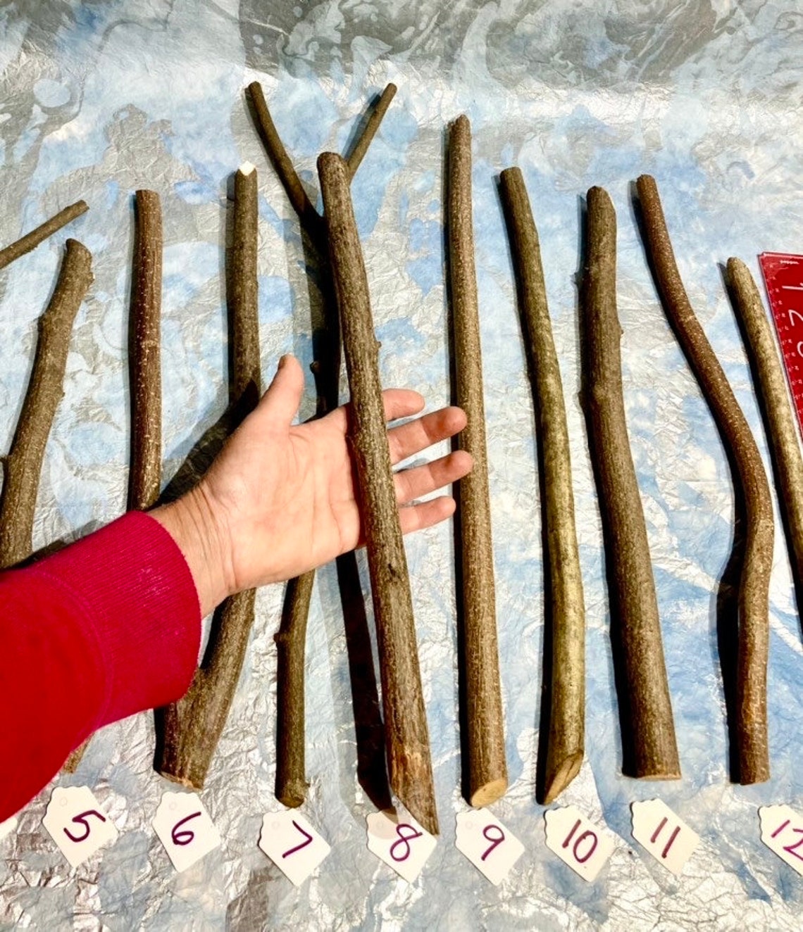 Hazel Wood Sticks Hazelnut Wand Whittling Wood - Etsy