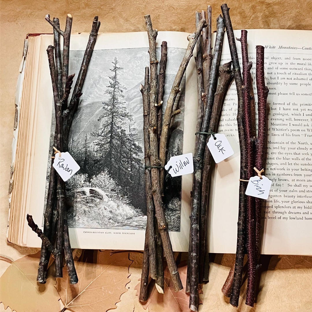 Wood Stick Bundles, Choose From 40+ NH Grown Species - Etsy
