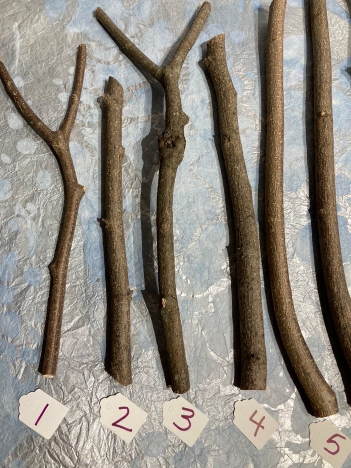 Hazel Wood Sticks Hazelnut Wand Whittling Wood - Etsy