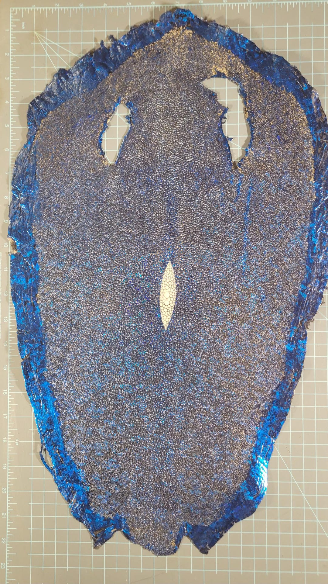 Genuine Exotic STINGRAY Skin LEATHER– Polished & Textured – Multicolor ...