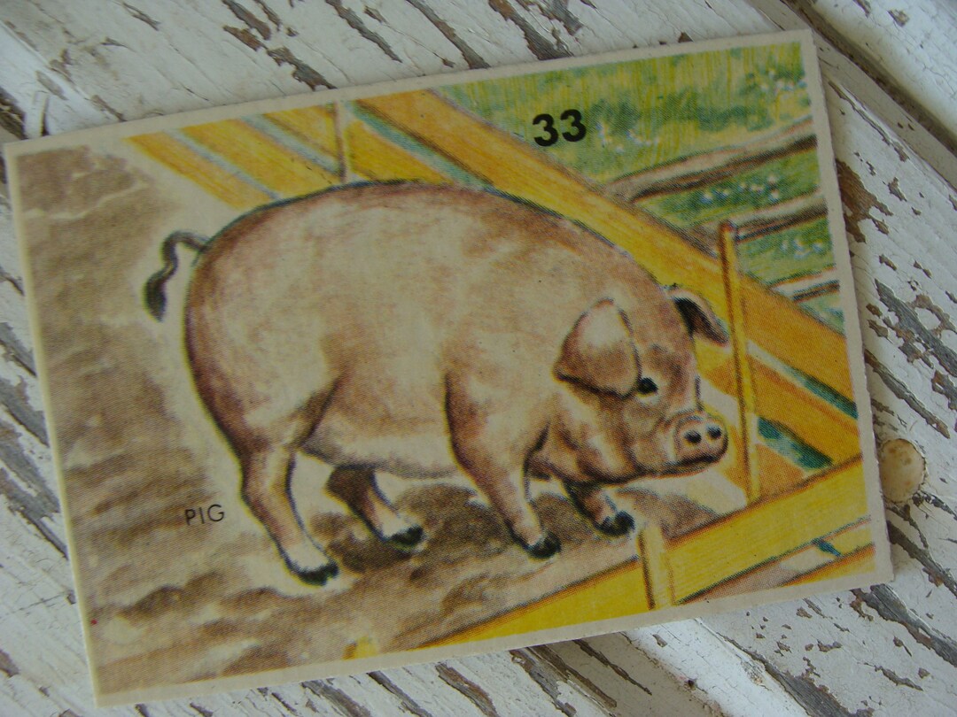 Antique Cardboard Farmhouse Pig Flash Playing Trade Hard Board Card - Etsy