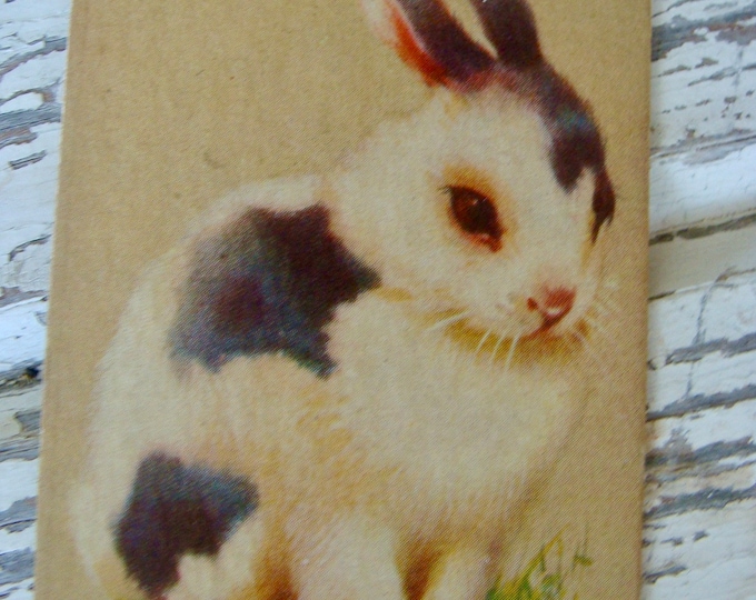 Antique Stunning Numbered Bunny Rabbit Rare Card Board Flash Card Great ...