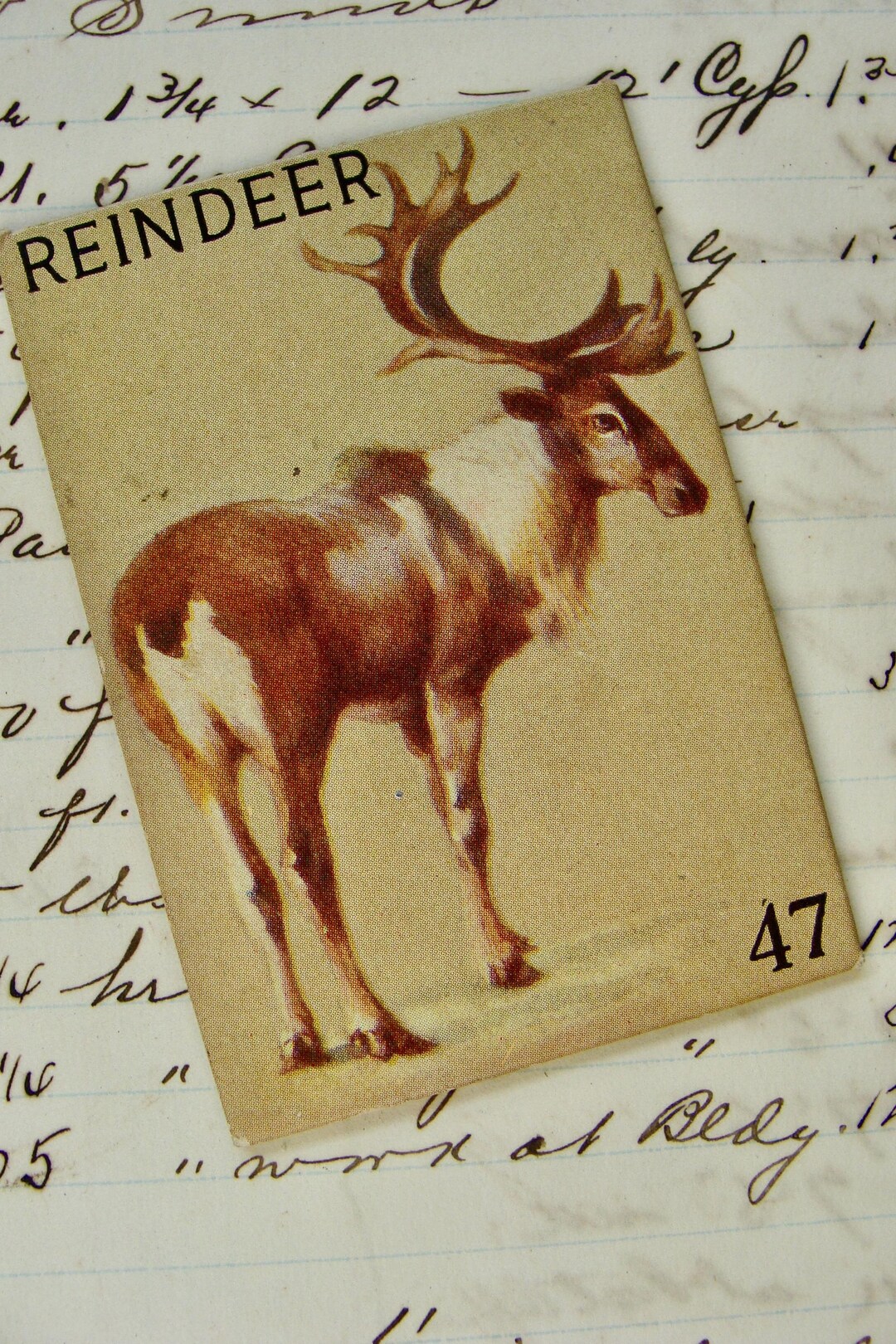 Antique Rare Cardboard Numbered Flash Card Reindeer Great for Christmas ...