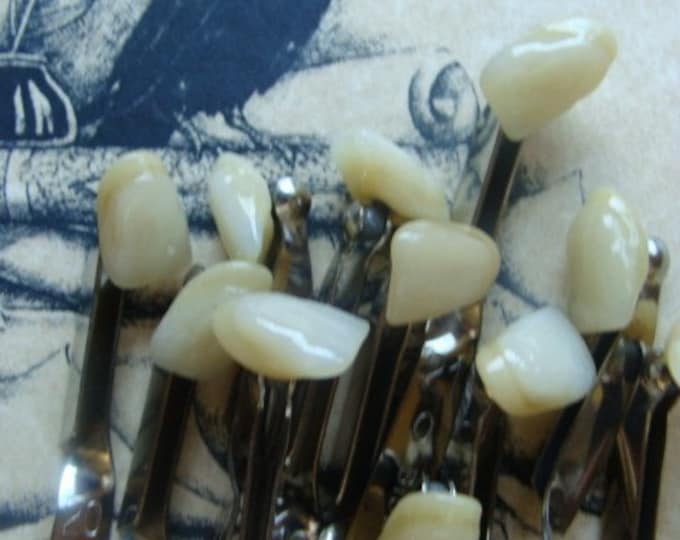 One Creepy Anthropomorphic Tooth - Etsy