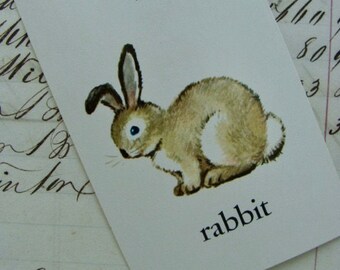 Rabbit Flash Card - Etsy