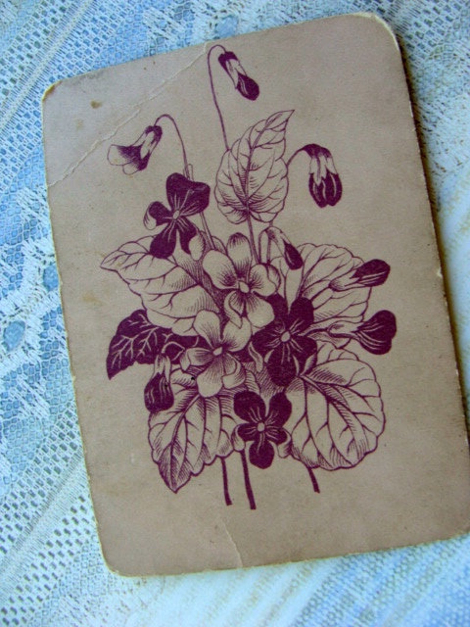 1800s Antique Logomachy Alphabet Art Gorgeous Playing Card Birds and ...