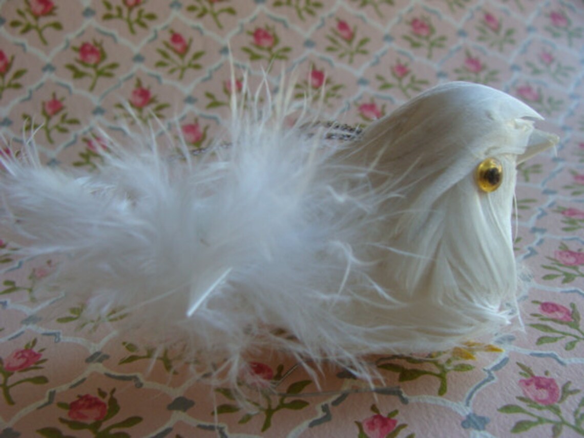 Vintage White Decor Beautiful Frilly White Feathered Bird for - Etsy