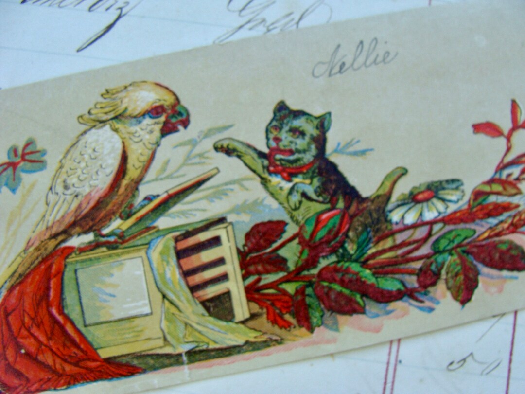 Rare Antique Cat and Bird Lithograph Vintage Kitten Trading Calling ...