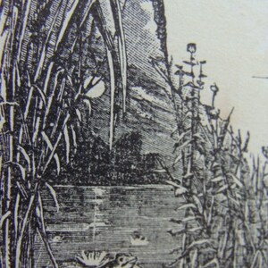 Antique Ephemera Stunning 100 Year Old Unused Receipt Frog - Etsy