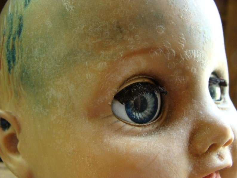 Vintage Morbid Doll Head - Etsy
