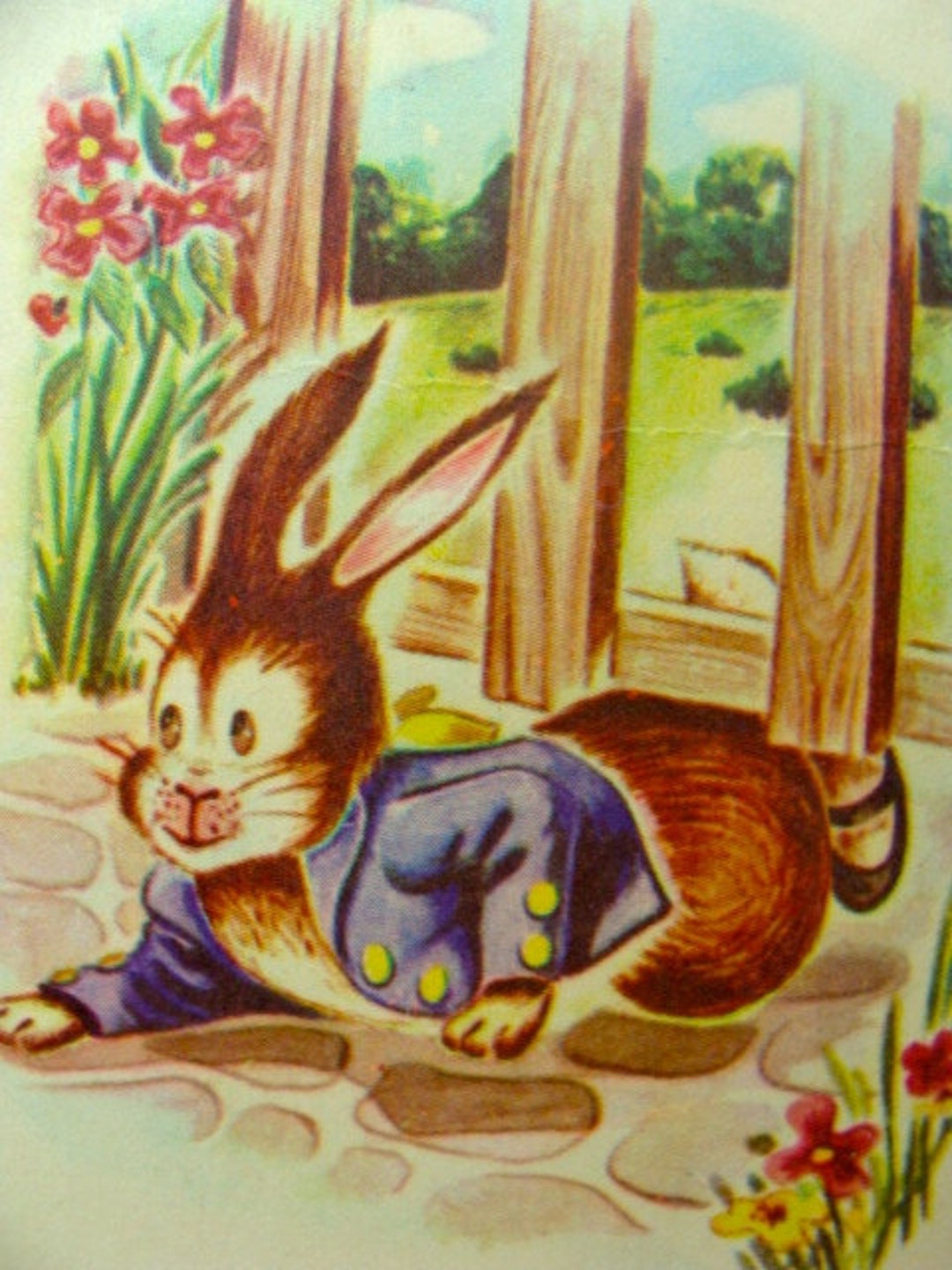 Antique Bunny Rabbit Rare Game Flash Card - Etsy