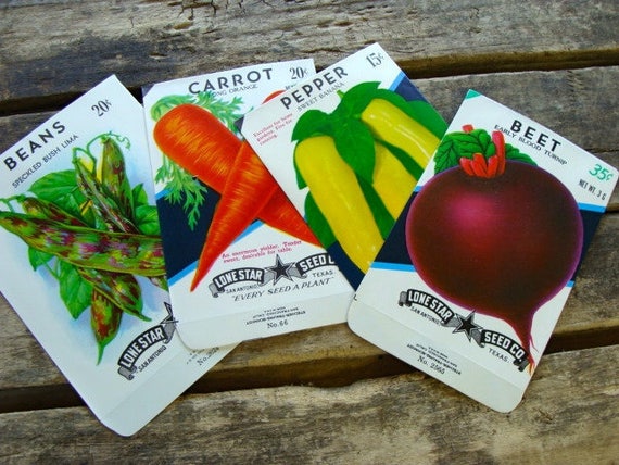 Beautiful Antique Empty Seed Packets Unused Vintage Vegetable | Etsy