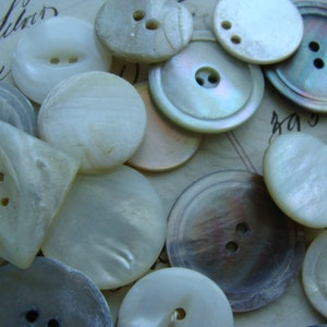4 Dozen Antique Abalone Carved Shell Buttons Mother of Pearl Large ...