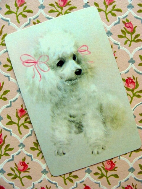 Vintage Beautiful White French Poodle Playing Cards | Etsy