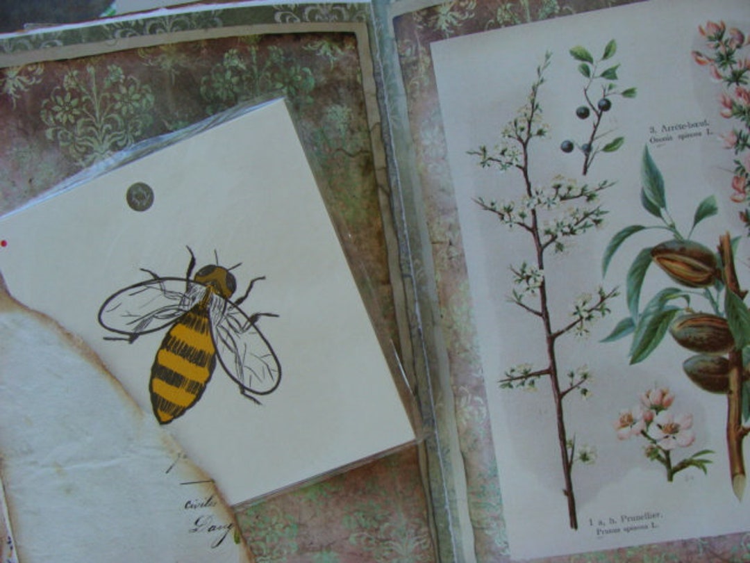 Large Vintage Farmhouse Bumble Bee Flash Card - Etsy