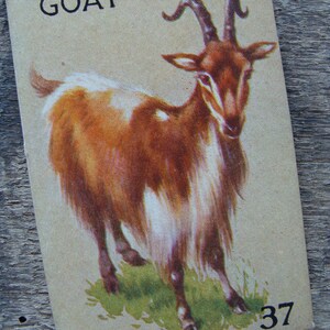 Antique Stunning Goat Rare Card Board Flash Card Great for Farmhouse ...