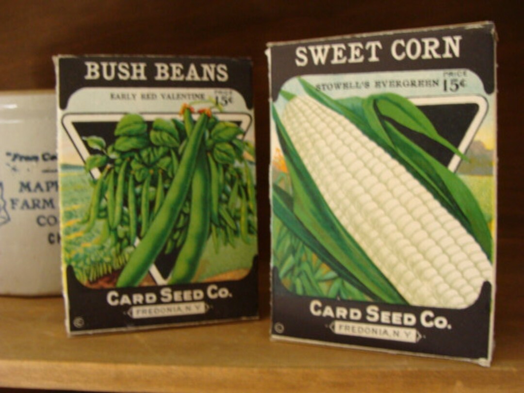 One Vintage Cardboard Farmhouse Seed Sweet Corn Box - Etsy