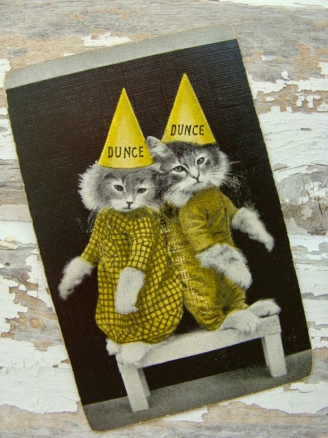 Original Antique Rare 1900s Edwardian Trade Playing Card Cats Wearing a ...