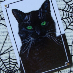 Vintage Black Cats Trade Playing Cards Great for Creepy Halloween ...