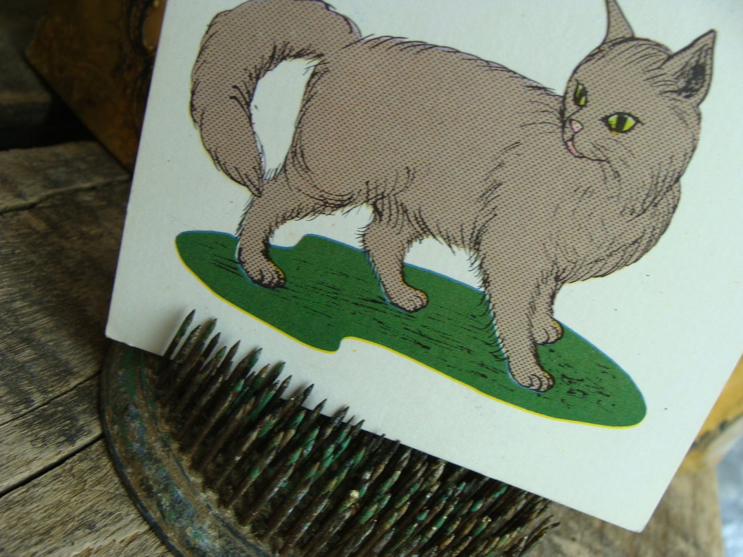Rare Vintage Kitty Cat Flash Card 80 Plus Years Old - Etsy