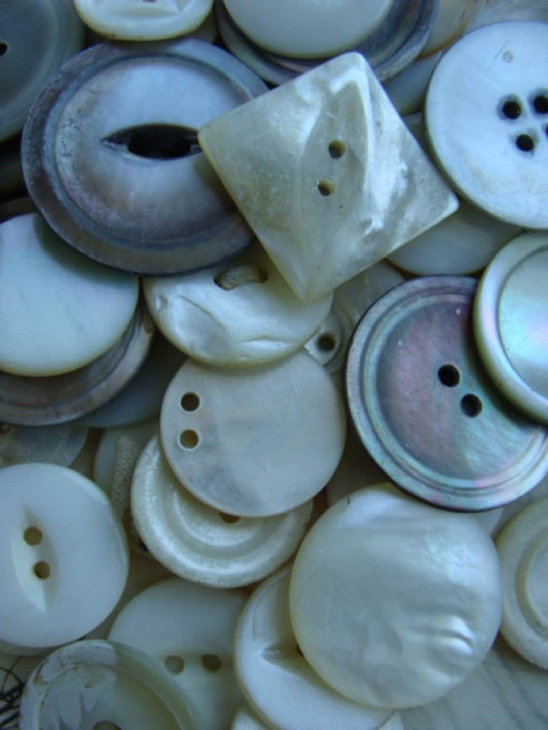 4 Dozen Antique Abalone Carved Shell Buttons Mother of Pearl Large ...