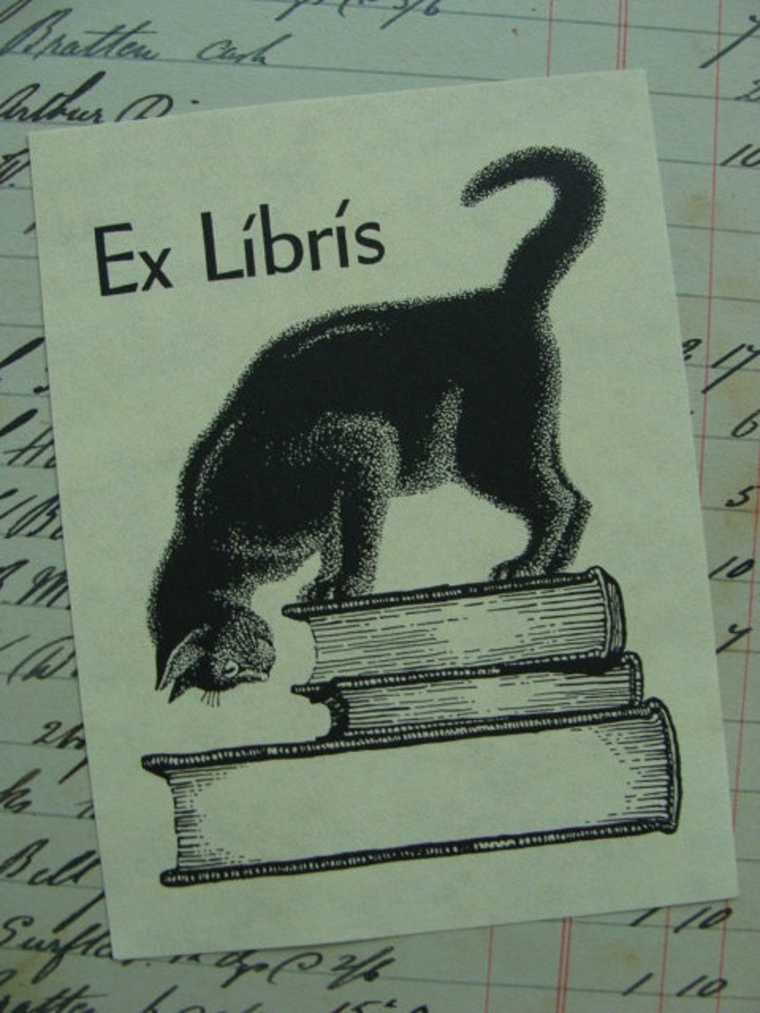 Gorgeous Vintage Black Cat Bookplate Label - Etsy