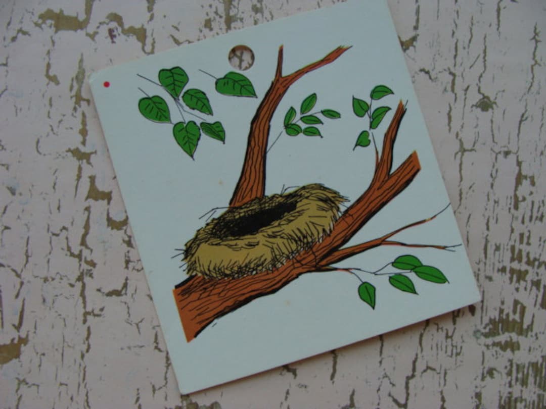 Vintage 1940s Bird Nest Flash Card - Etsy